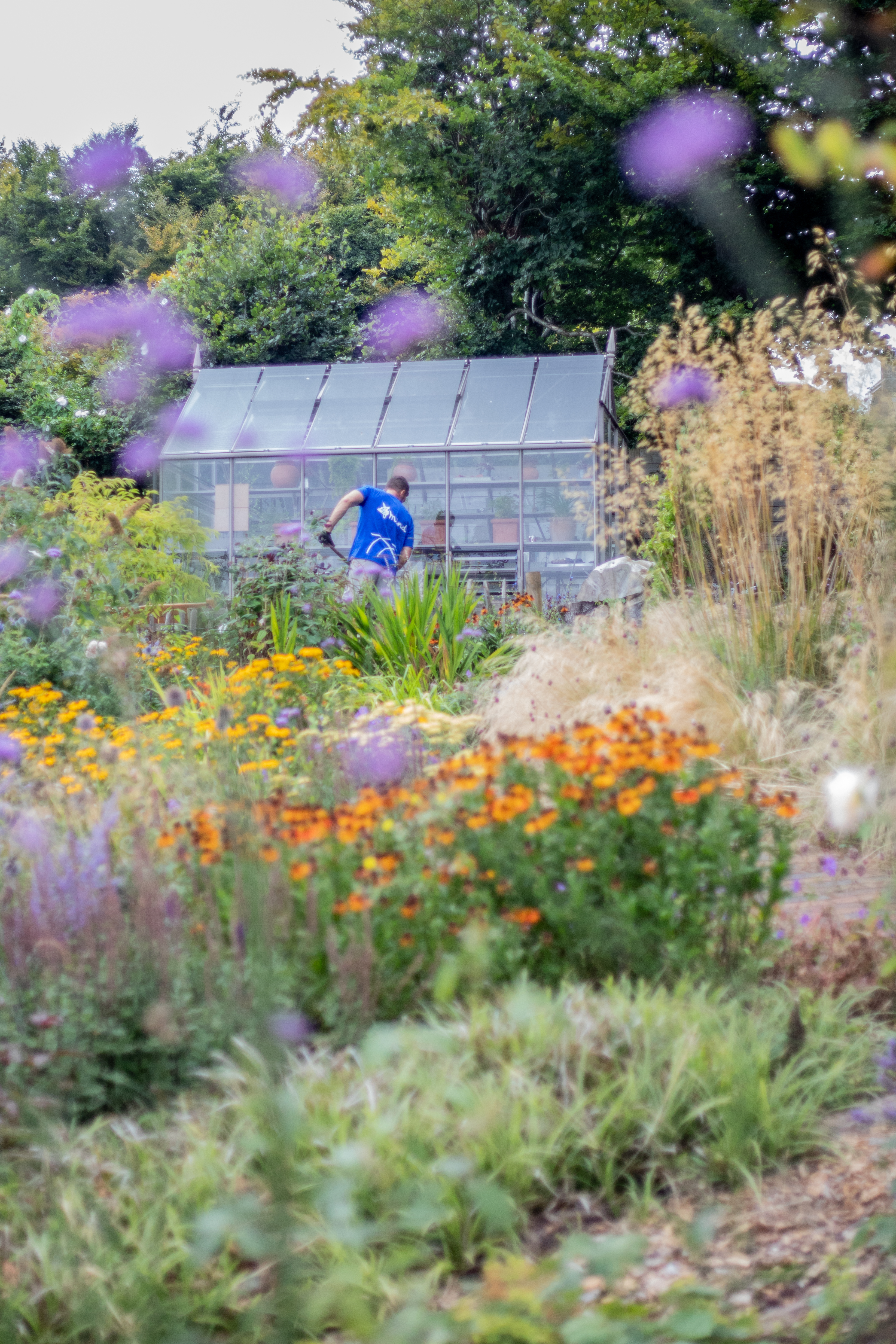 Lived experience blog | Your stories | Mind