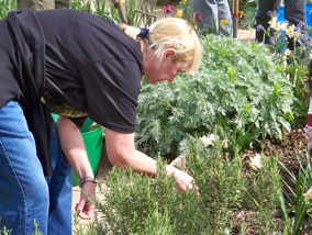 What is ecotherapy? - Mind