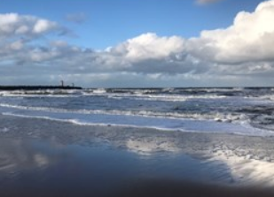 The importance of routine - Mind