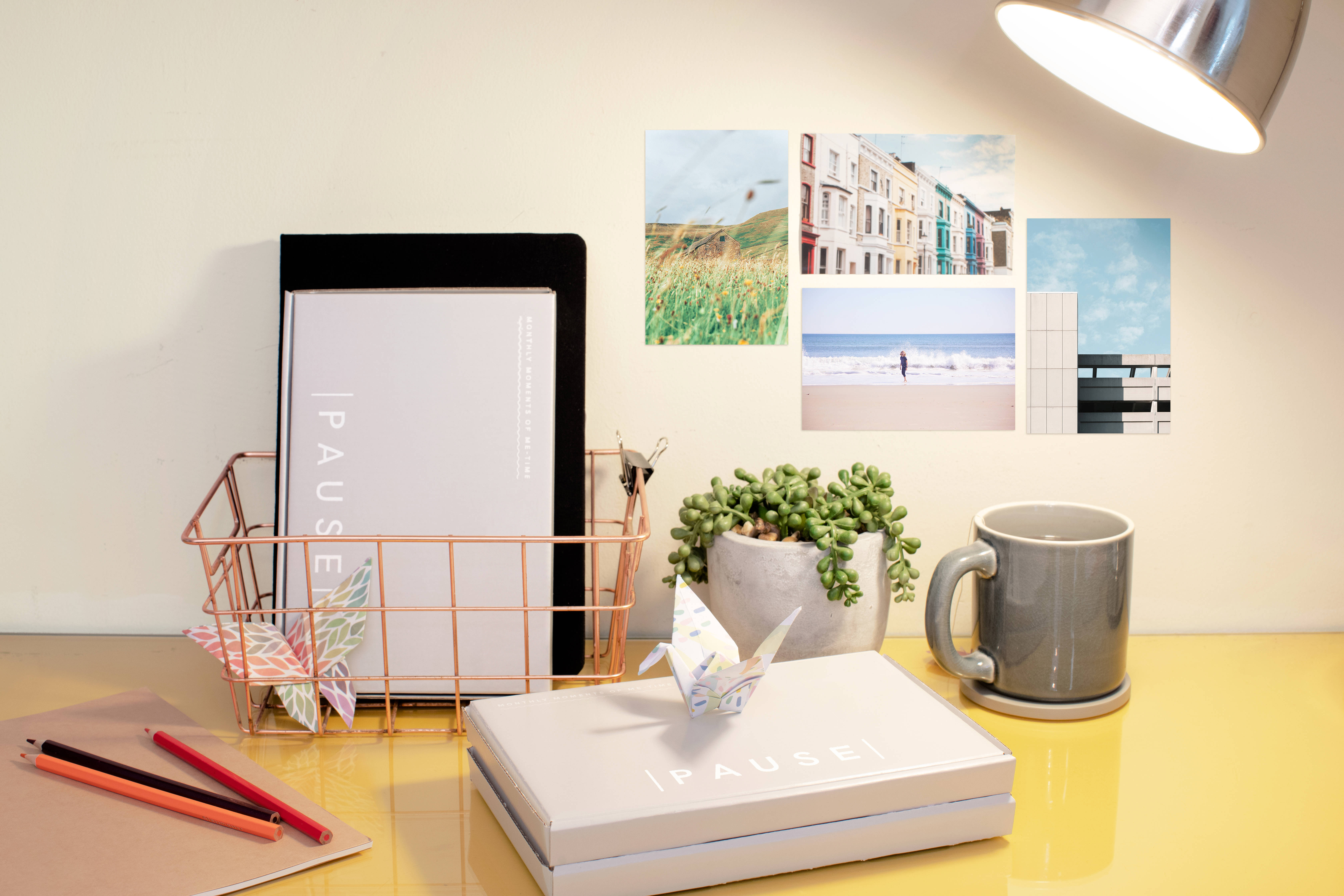 Pause for Mind - Mind